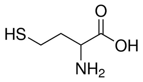Dl 同型半胱氨酸，dl Homocysteine；≥95 Titration