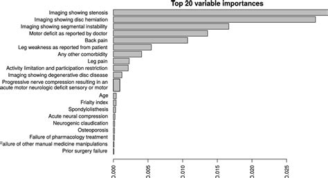 Top 20 Variable Importances To Predict Recommendation Probability