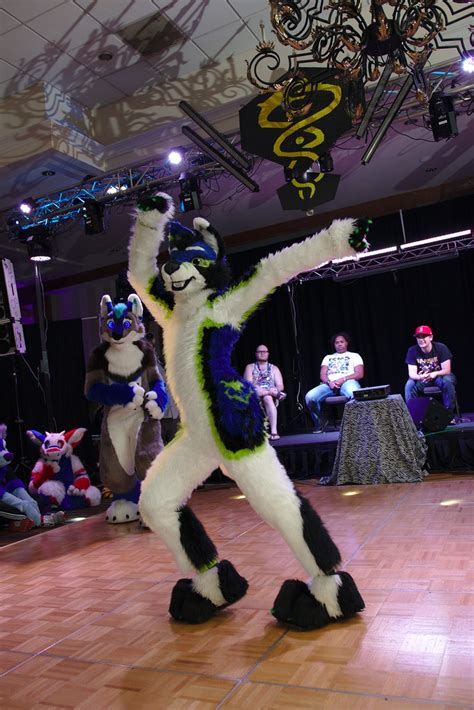 ACFI 2019 20191004 132737550 ACFI Photography Flickr