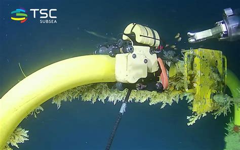 Tsc Subsea On Linkedin Subsea Phased Array Corrosion And Erosion Assessment Of Pipeline End