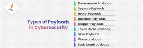cyber security payloads a detailed guide