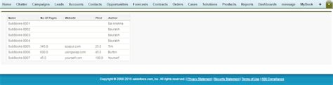 Using Visualforce Page Components To Display A Records Detail Page Salesforce Radical