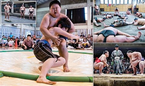 Inside The Esteemed World Of Sumo Wrestling In Japan Pictures Capture