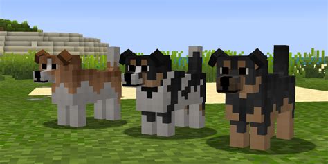 Better Dogs Texture Pack 120 → 1194