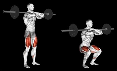 Barbell Front Squat Guide Muscles Worked Tips Athlemove