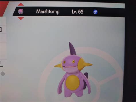I Caught A Shiny Marshtomp In The Wild R Pokemonswordandshield