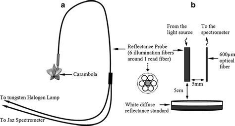 A Experimental Configuration For Reflectance Measurement B