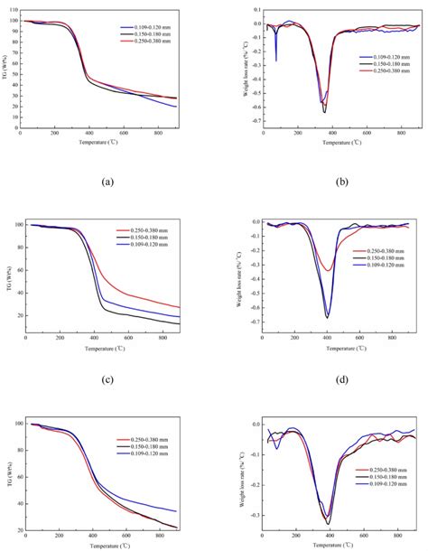 Thermogravimetric Analysis Tga Service Mtoz Biolabs
