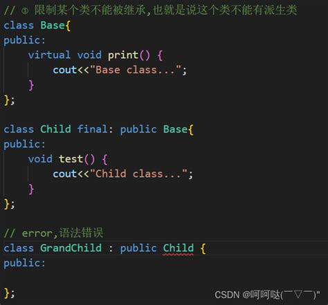 C11 新特性 Final 和 Overridec Final Public Csdn博客