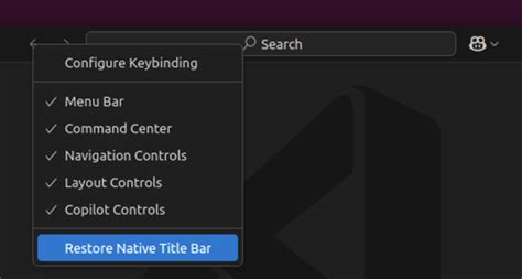 2025 年 2 月 版本 198 Vscode 编辑器