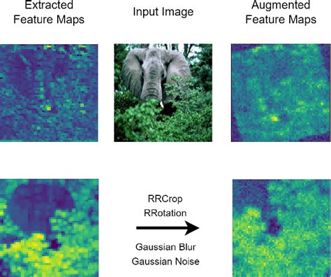 Figure 1 From Cnn Feature Map Augmentation For Single Source Domain Generalization Semantic