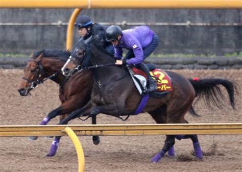 【桜花賞】本音は「オークス向き」もリバティアイランドを差し切る可能性を秘めた馬に 競馬専門紙「優馬」