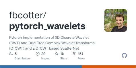 GitHub Fbcotter Pytorch Wavelets Pytorch Implementation Of 2D
