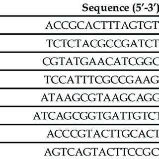 The Sequence Of The Primer Pair Used In The Multiplex PCR Test Download Scientific Diagram