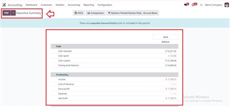 An Overview Of Odoo 17 Accounting Reports