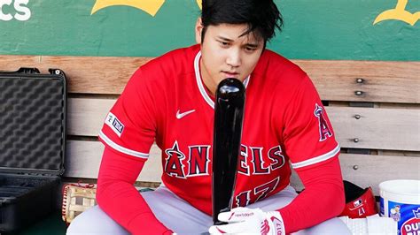 大谷翔平の｢チャンドラー社バット｣日本で流行へ 来年からはアマチュア用も国内販売の見込み 日刊スポーツ 東洋経済オンライン