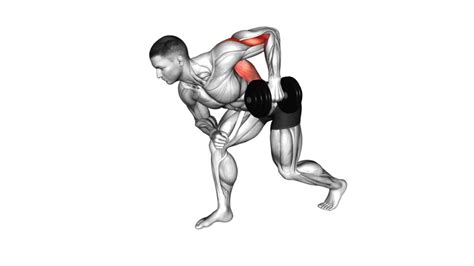 Dumbbell Split Stance Bent Over Row Male Exercise Guide And Tips