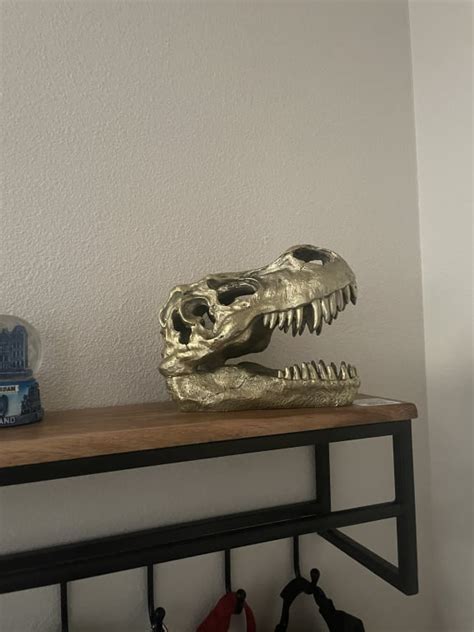 Gold T Rex Fossil Head 6