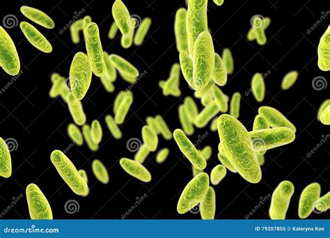 Pleomorphic Bacteria Classification Irregular Shapes Of Bacteria