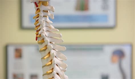 The Importance Of Chiropractic Maintenance Care