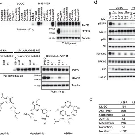 Pdf Molecular Basis For Cooperative Binding And Synergy Of Atp Site And Allosteric Egfr Inhibitors