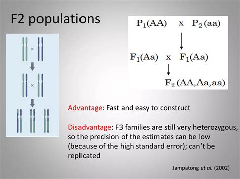 Qtl Mapping And Analysis Pptx Genetics Science
