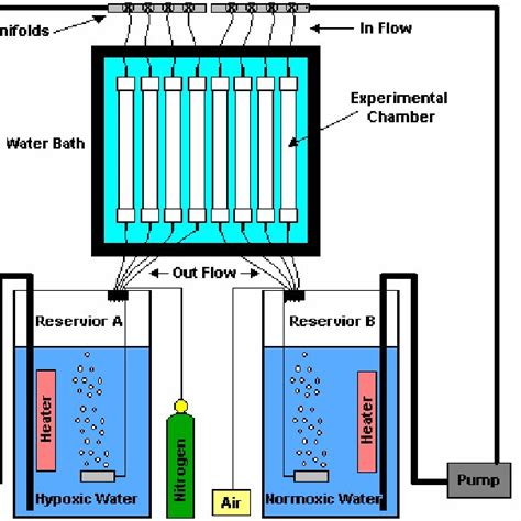 A Schematic Diagram Of The Closed Recirculating System Used For Year Download Scientific