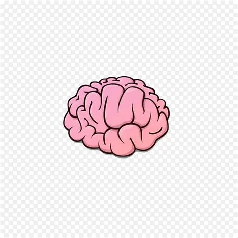 粉色大脑PNG图片素材下载 图片编号9556315 PNG素材网