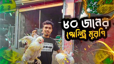 ৮০ জনের পোল্ট্রি মুরগি 😅 Youtube