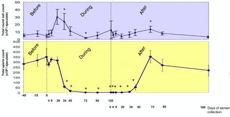 Testicle Temperature How Heat Damages Sperm