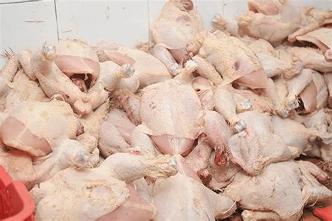 Saisie de deux quintaux de viande avariée à Tlemcen الشروق أونلاين