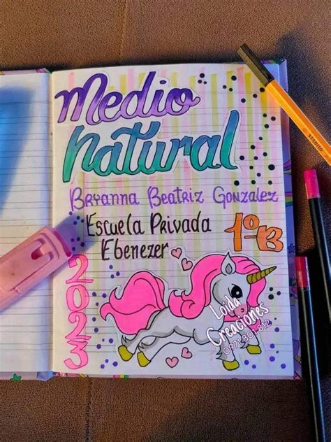 Pin de Rosa Marlene Cuya Ipanaque en carátulas Escuela privada