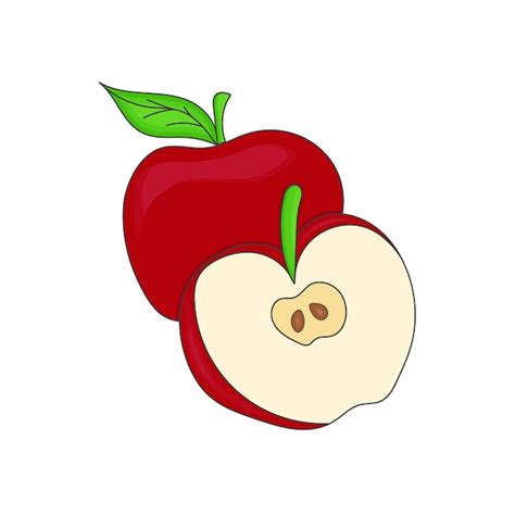 격리 된 흰색 배경에 절반 및 전체 사과 벡터 일러스트 레이 션 프리미엄 벡터