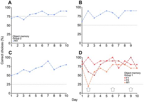Object Memory Performance After Spatial Memory Task A C Performance