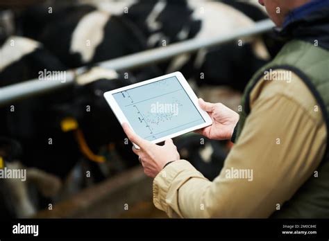 Digital Tablet With Graphic Information On Screen In Hands Of Young Male Farmer Analyzing Data