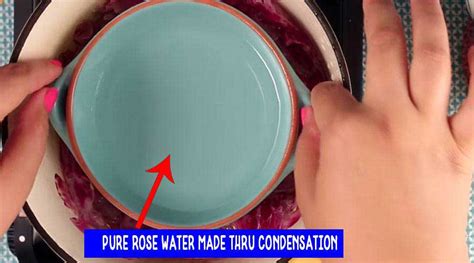 How To Make A Rosewater Toner The Everyday Blogger