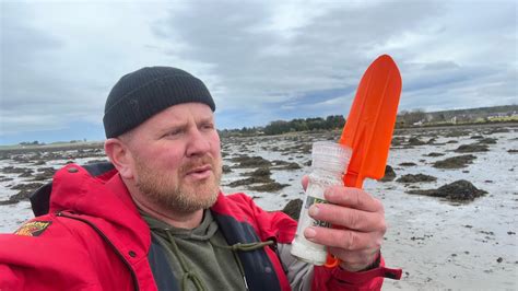 Coastal Foraging Razor Clams Youtube