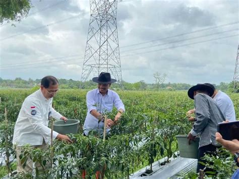 Dinas Pertanian Pastikan Stok Beras Jelang Ramadan Aman Tangerang Ekspres