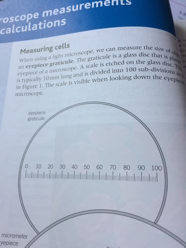 Cell Structure Microscope Measurements And Calculations 3 3 Flashcards Quizlet