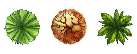 Premium Vector Full Color Architecture Tree Plan With Outline Top View Set