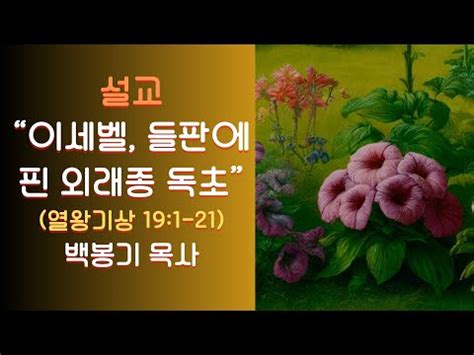 2024년 5월 19일 주일 예배 Sonoma Korean Baptist Church