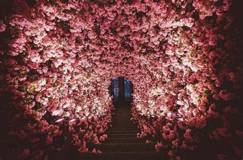 Pin by m arelhanoo on Salvamentos rápidos in Wedding decor style Plant installation