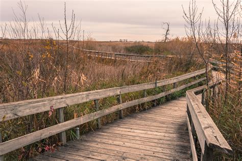 Oak Hammock Marsh Manitoba Canada By Ryan Go Traveling