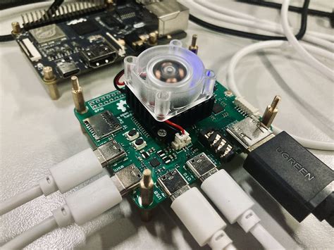 Gallery Yuzuki Chameleon