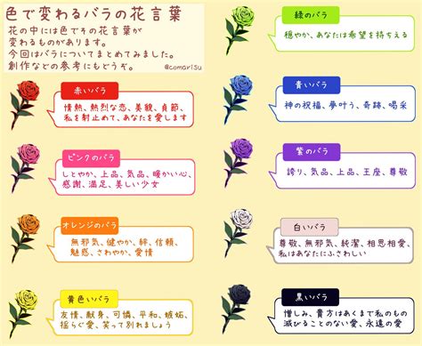 バラはカラーで花言葉が違うらしいプレゼントする時に覚えておくとかっこいいかも 話題の画像プラス