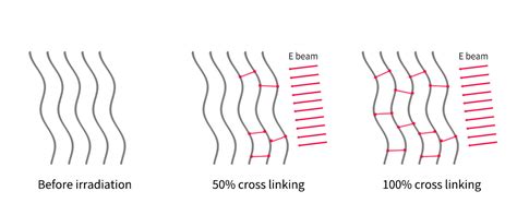 The Influence Of Processing Conditions On Cross Linked Polymer Properties