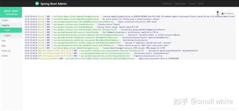 Spring Boot Admin应用监控简介及实践 知乎