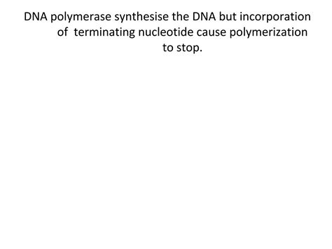 Systems Biology And Approaches Of Genomics And Proteomics Ppt Biological Sciences Science