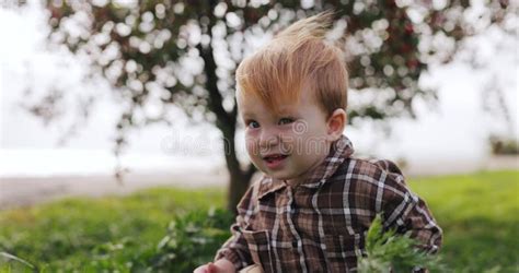 Slow Motion Cute Boy Sitting In A Grass Stock Video Video Of Face Summer