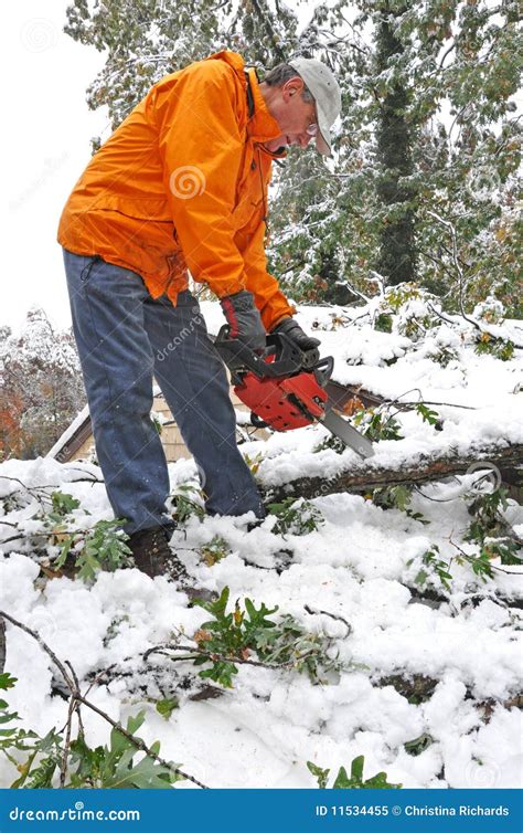 Man Cutting Fallen Tree With Chainsaw Stock Image Image Of Safety Height 11534455
